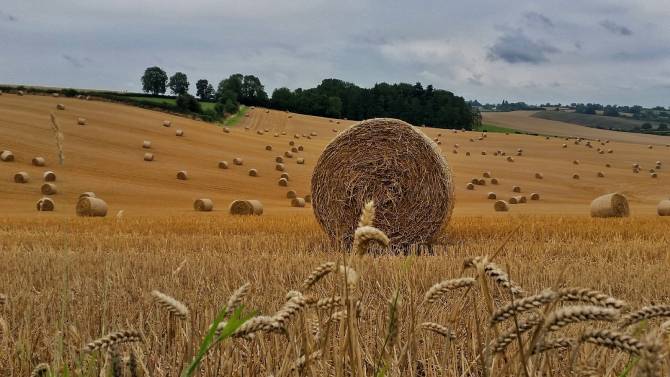 PwC Poland to support the European Commission's DG AGRI | PwC